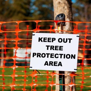 Tree Protective Barriers