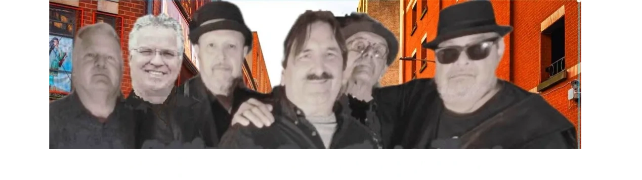 Seventh Son - Live Performance Band, Live Band