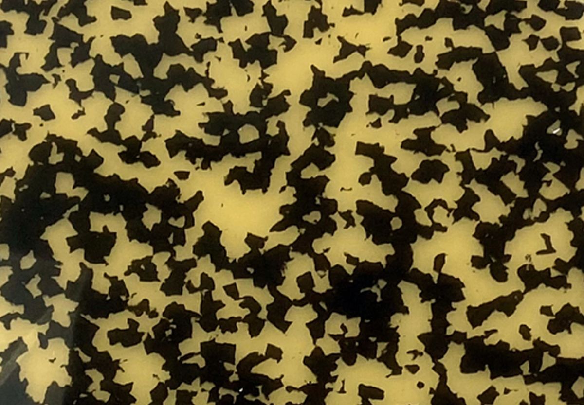 Pickguard Material Sheet, Custom Specialty Material ~ Vibe Predator