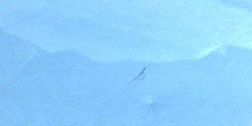 Pickguard Material Sheet, Custom Specialty Material ~ Transparent ...