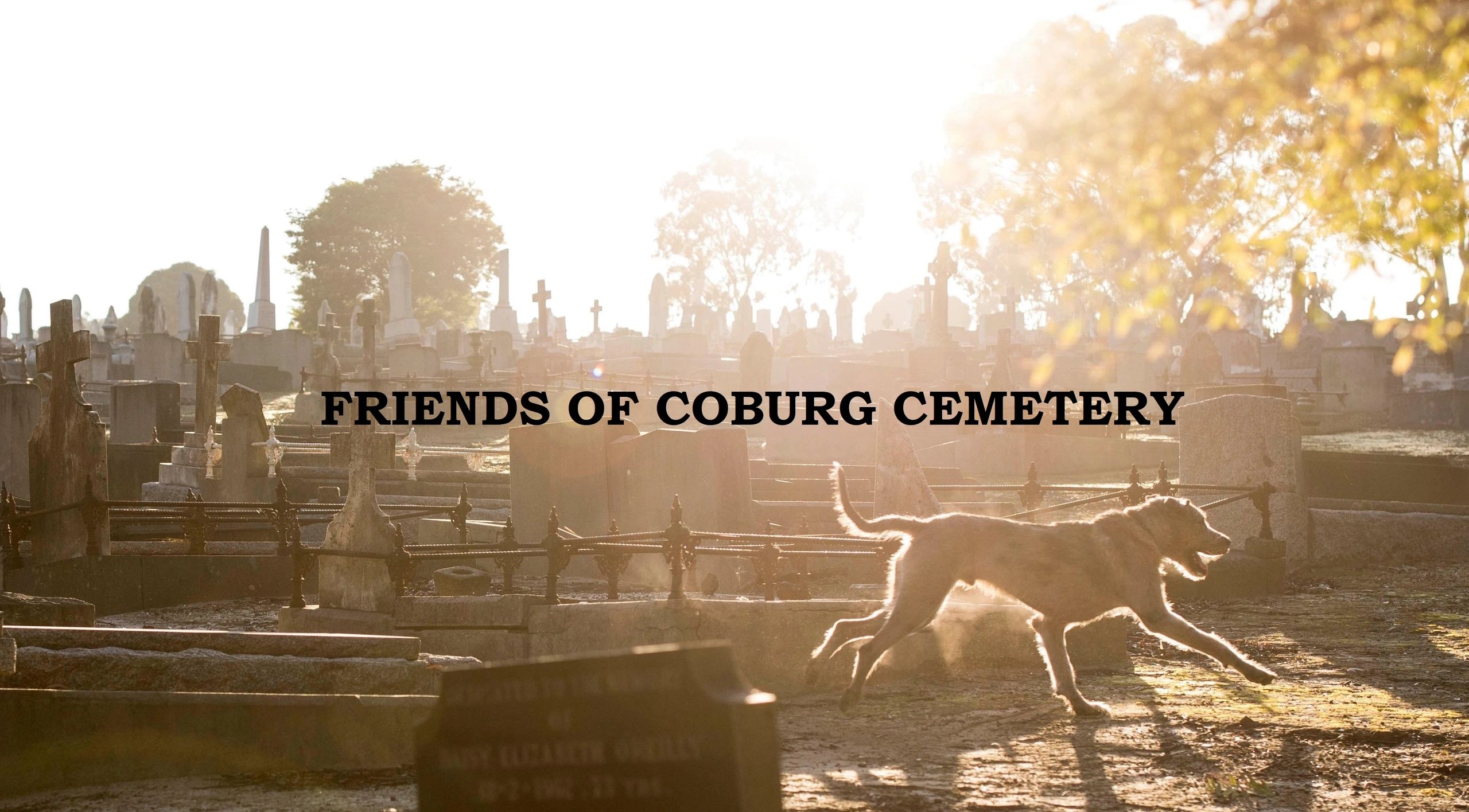 Friends of Coburg Cemetery