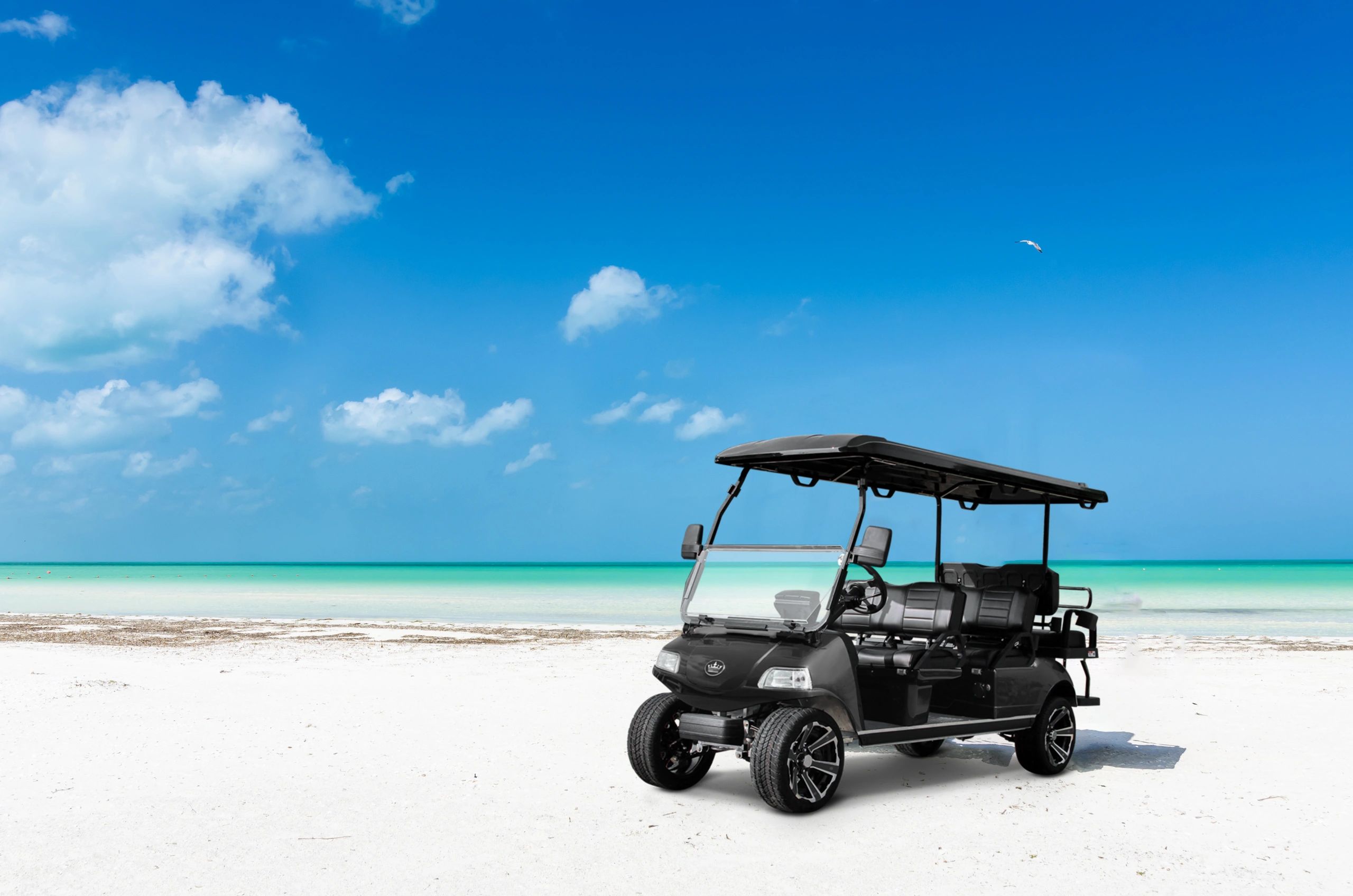 BEACH CARTS 30A - Golf Cart Rentals, Florida
