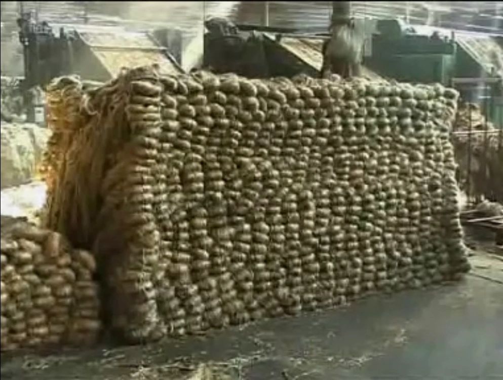 What is jute and how to care for it.