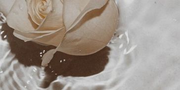 Esthetics School Belmont NC | Esthetics School Charlotte NC