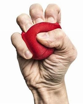 Grip Strength and Longevity