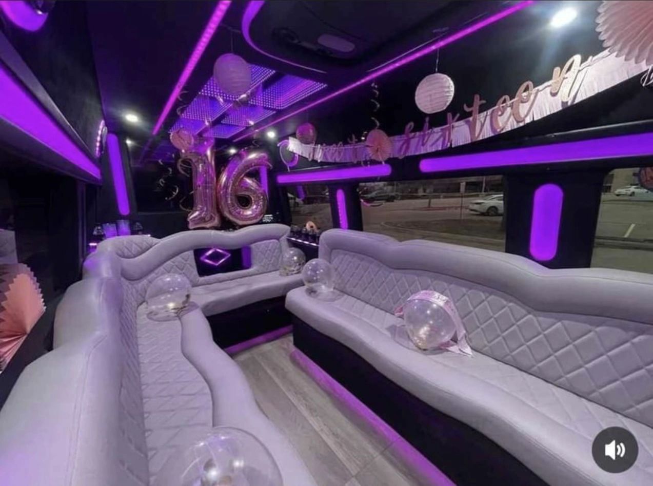 Luxury Limo Party Bus Rentals