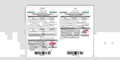 Fmm Form by Air, Land and Canje - Fmm Multiple Migratory Form | JORGE ...