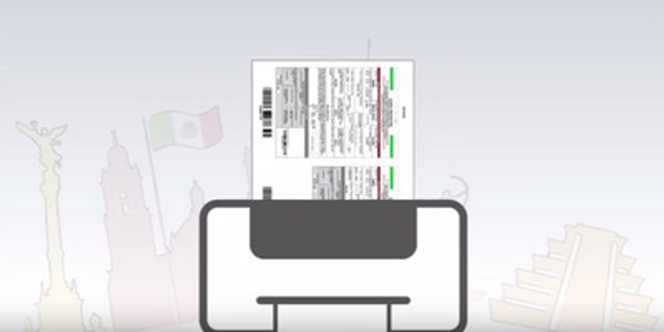 JORGE GONZALEZ - Fmm for Cbx, Fmm Form Online, Tourist Card Fmm