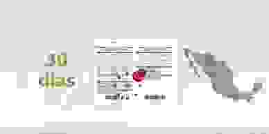 Fmm Form by Air, Land and Canje - Fmm Multiple Migratory Form | JORGE ...