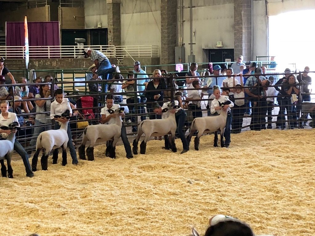 Salt Lake County Livestock Show