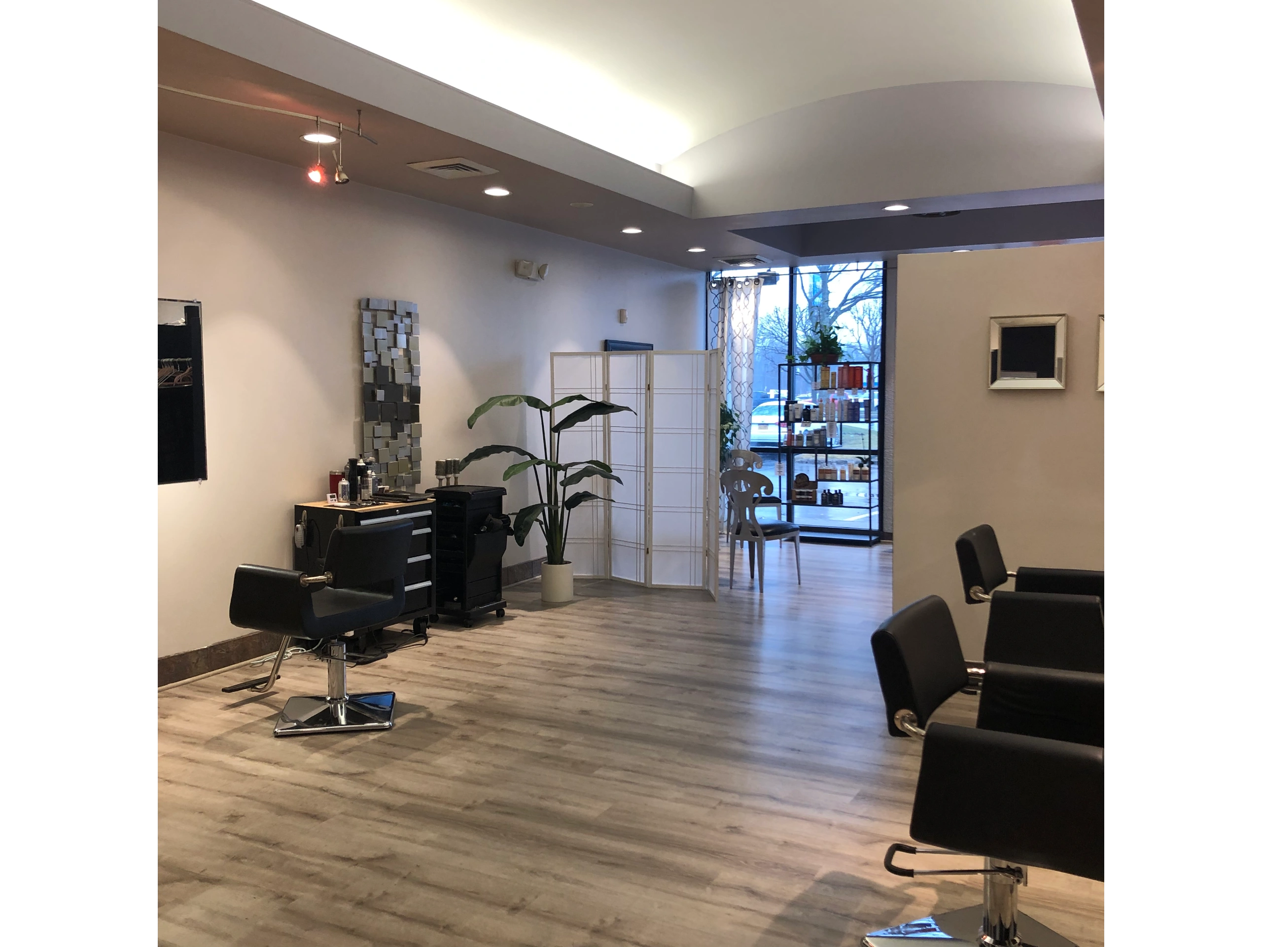 Modern Hair Salons