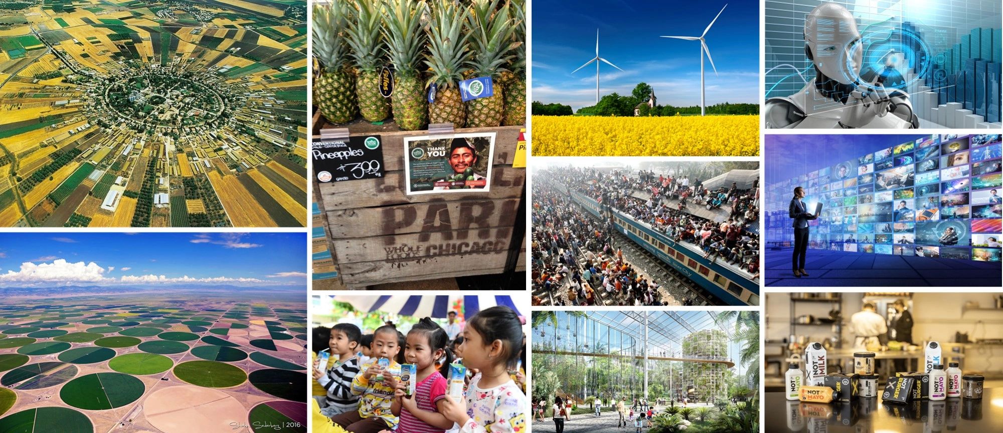 www.agro-valor.com