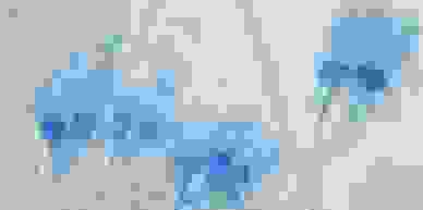 Verify Air Quality Testing - Mold Library, Common Indoor Mold, Mold ...
