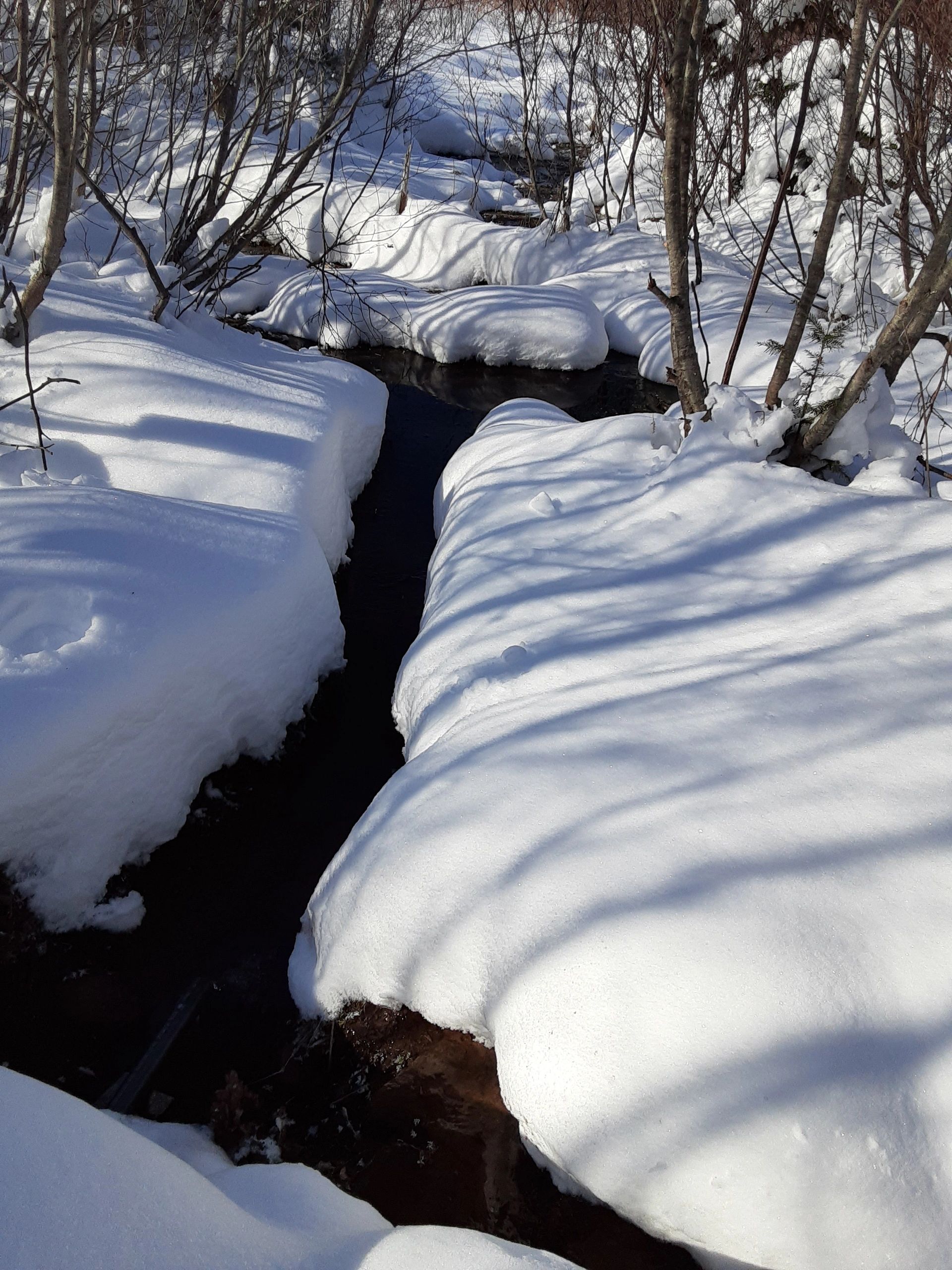 Canadian ColdFlo Corporation - Naturally Pure Drinking Water, Pure ...
