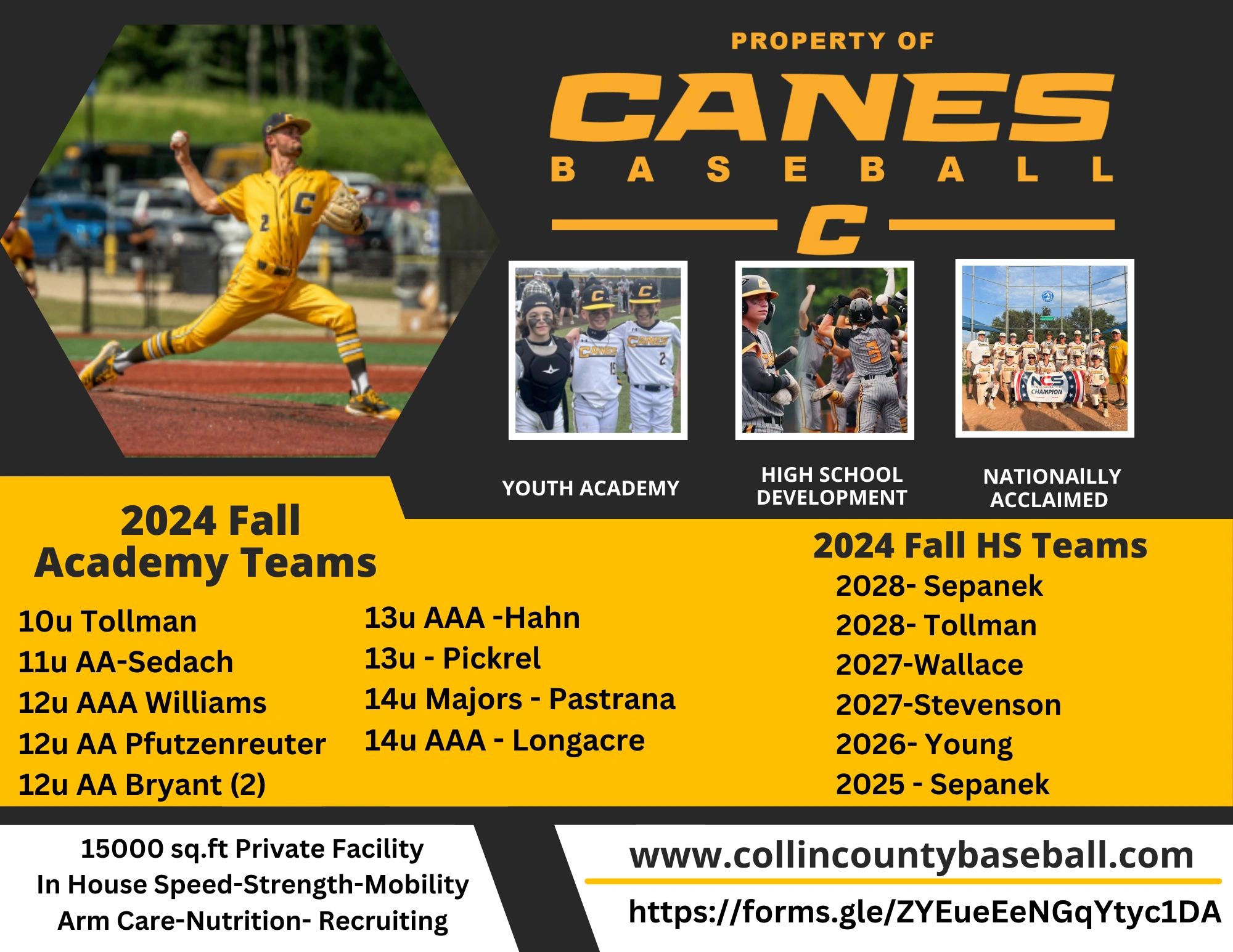 Baseball, Training - Collin County Baseball Academy - Prosper, Texas