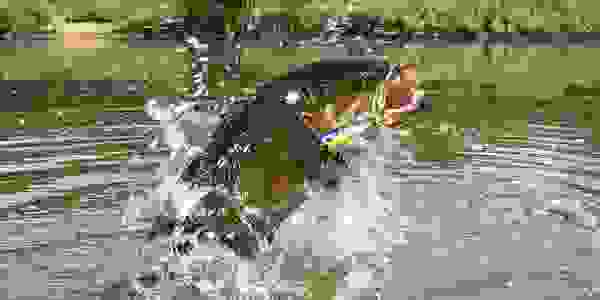 Local Attractions | Little Chenier Hunting And Fishing Lodge