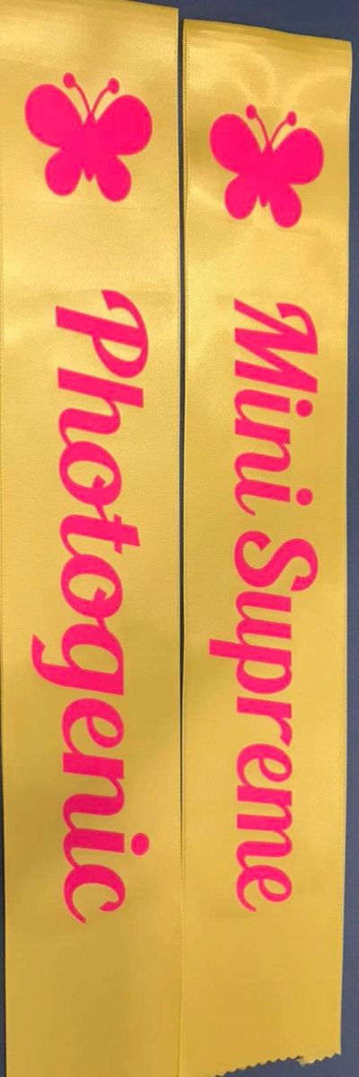 Economy Vinyl Sashes