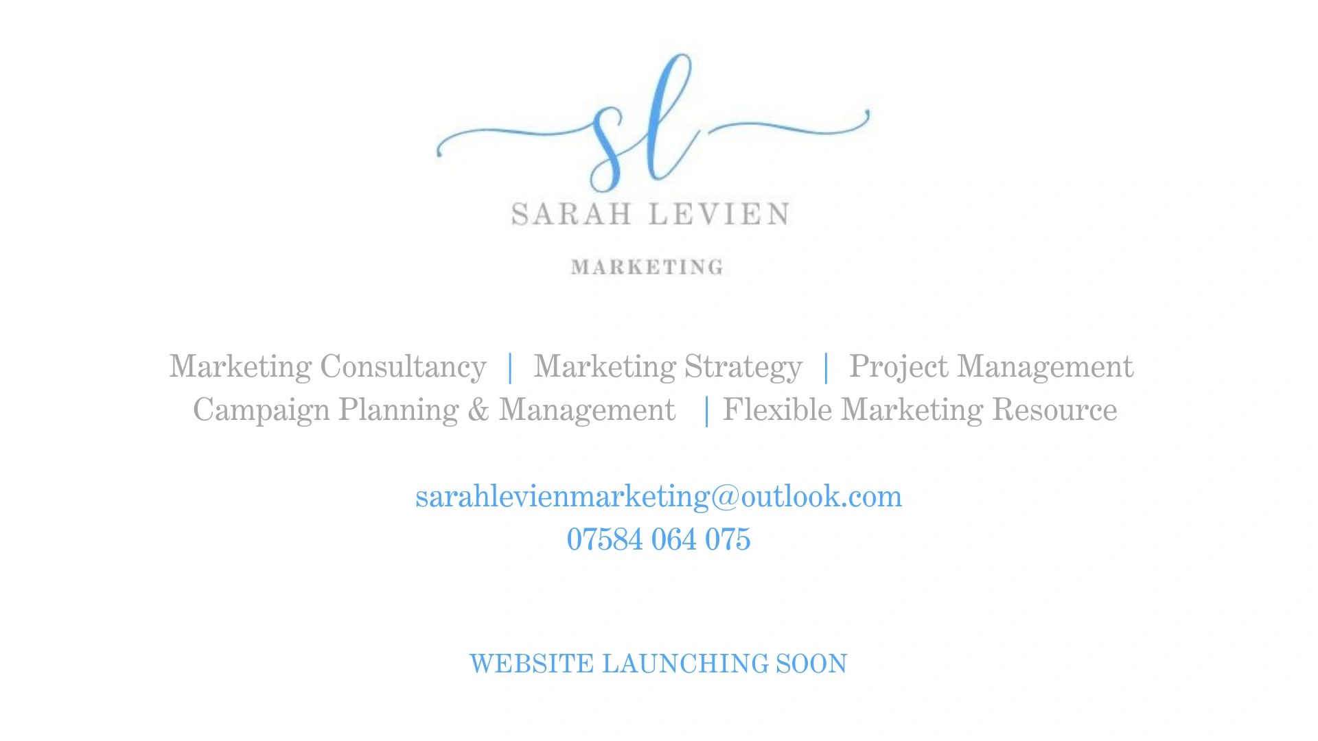 sarahlevienmarketing.com