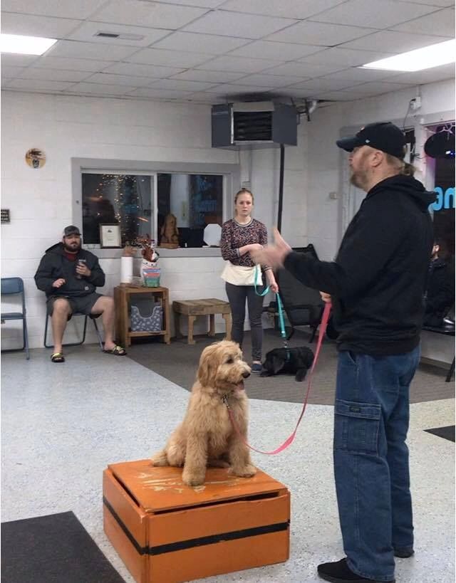 Pro-Canine Professional Dog Training