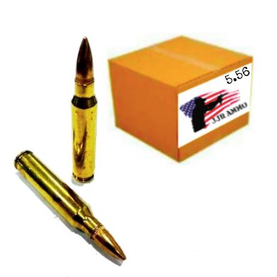 5.56 55 Gr FMJ (500 rounds)