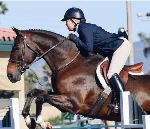 Echo - HUNTER VALLEY RIDING ACADEMY