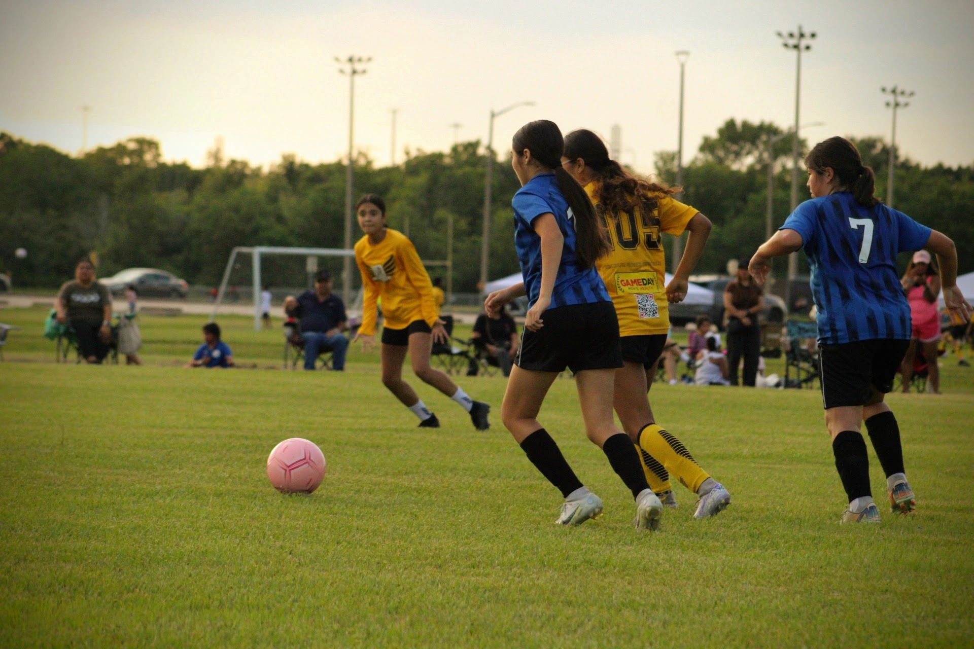 Bay Area Youth Soccer Association