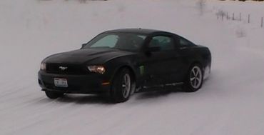 Volk Wolf Dynamics | Volk Wolf Dynamics