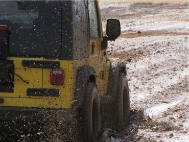 Volk Wolf Dynamics | Volk Wolf Dynamics