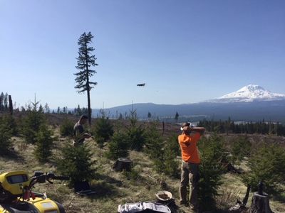 Timberdrone - Drone, Drone, Forestry, Forestry Consultant