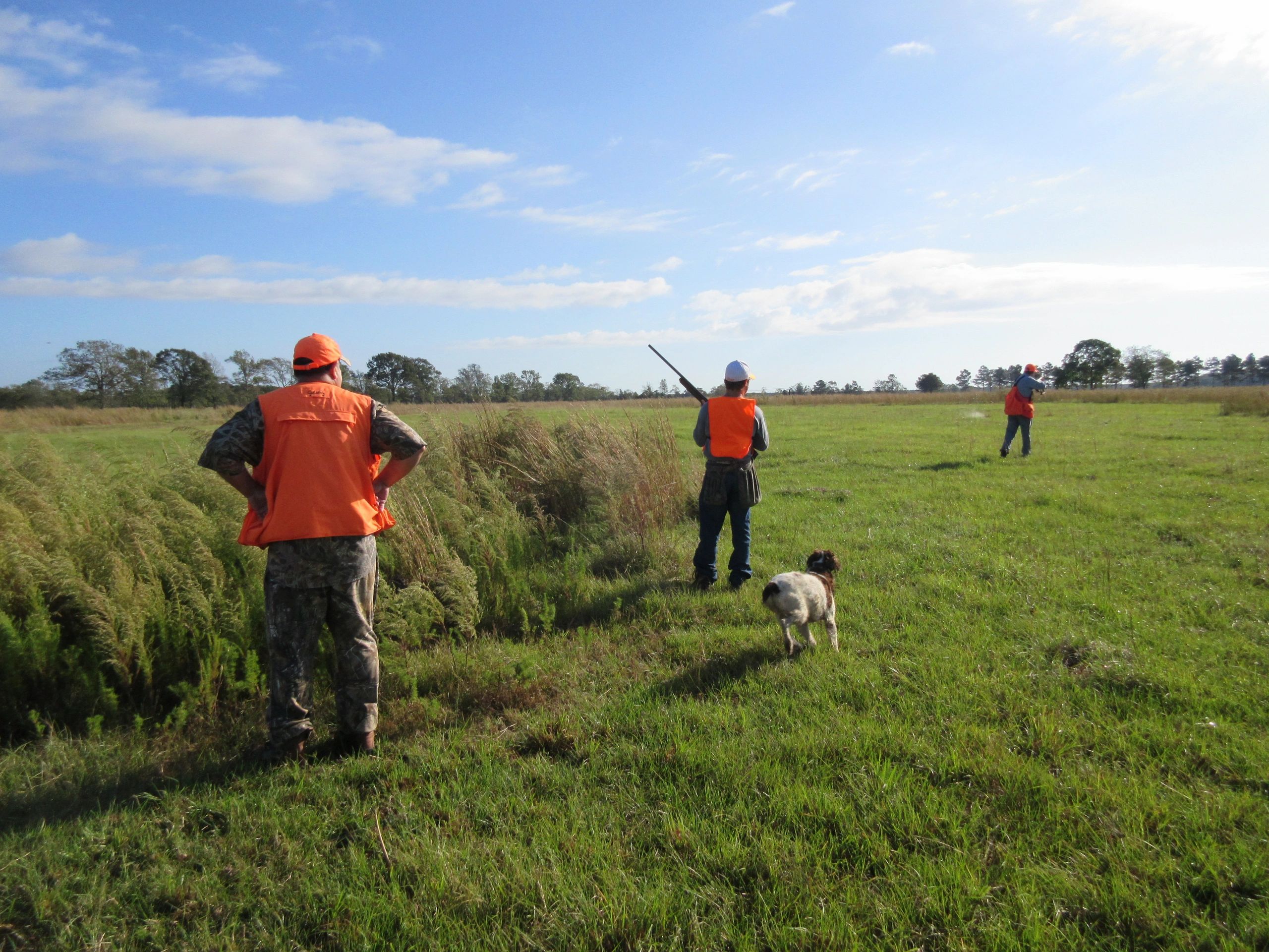 Dry Creek Ranch, Inc.