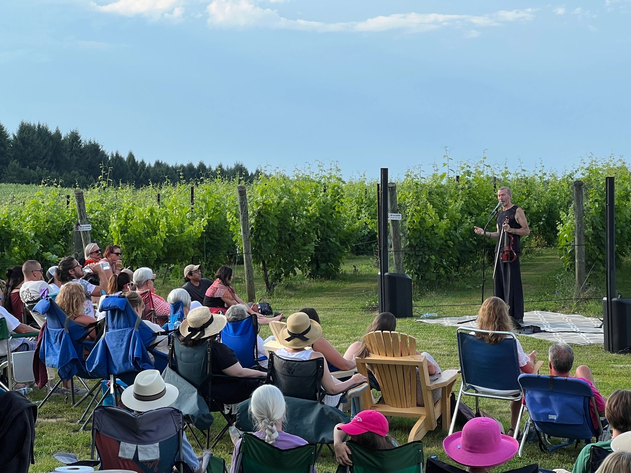 Three Trees Vineyard