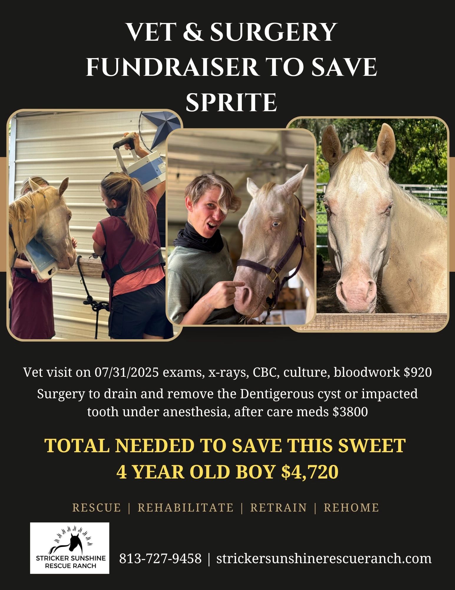 Stricker Sunshine Rescue Ranch