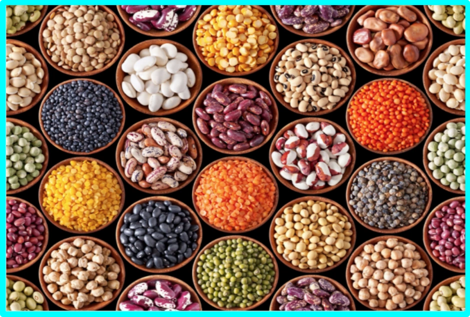 Shipping | The General Seed