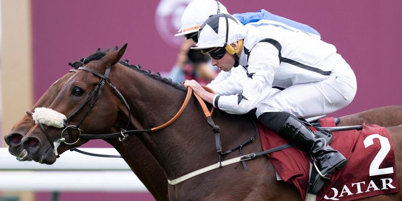 Nick Bradley Racing - Strike Rate, Prize Money, Racing Results