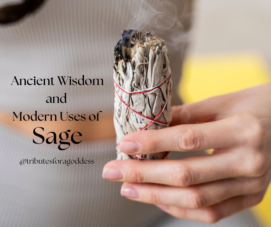 Sage: Ancient Wisdom and Modern Uses