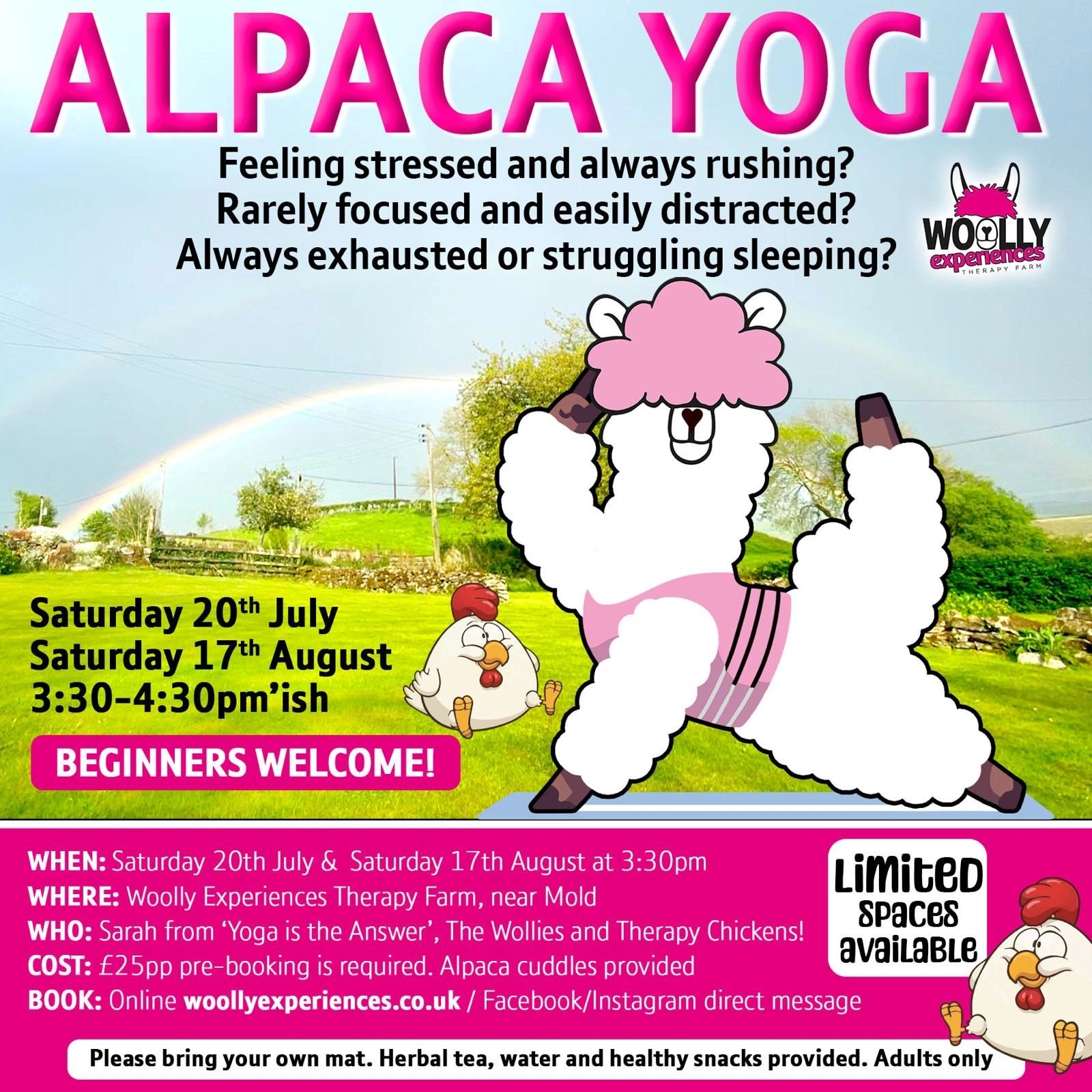 Alpaca Yoga | Woolly Experiences