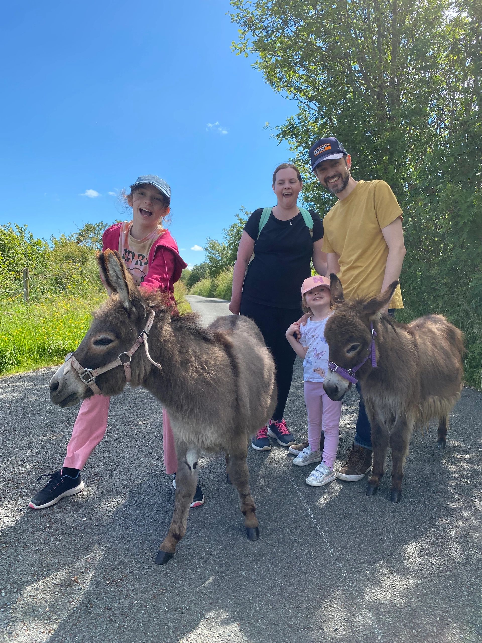 Alpaca Miniature Donkey Walks - Woolly Experiences