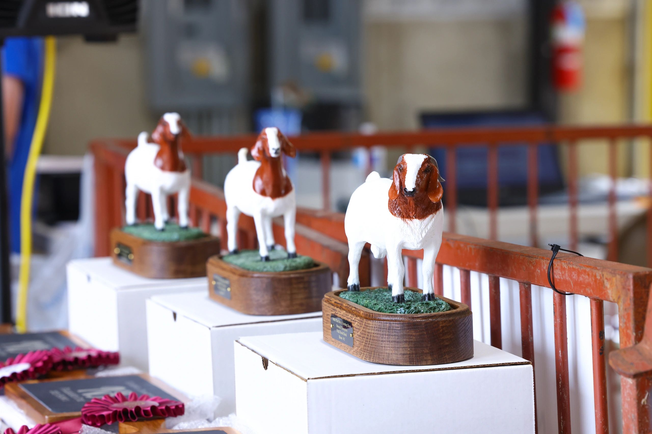 Breeding Doe Program