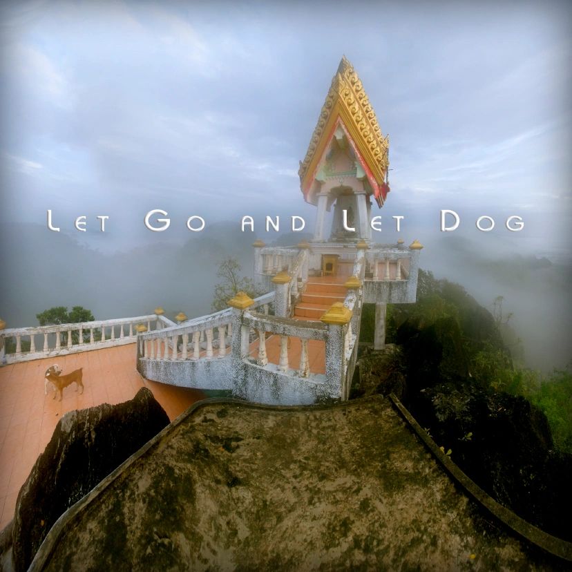 Let Go and Let Dog