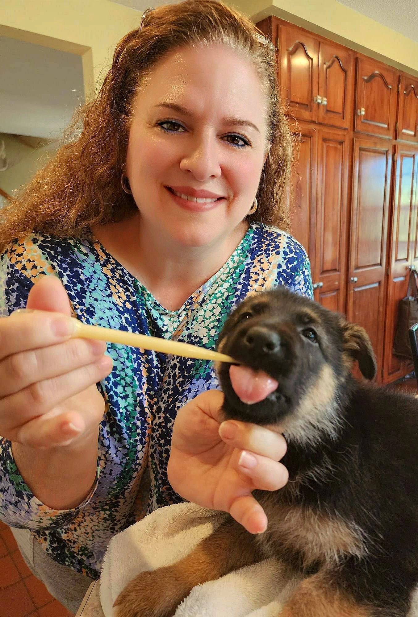 Lisa’s All Island K9 Services - German Shepherd Breeder, Puppy Sales