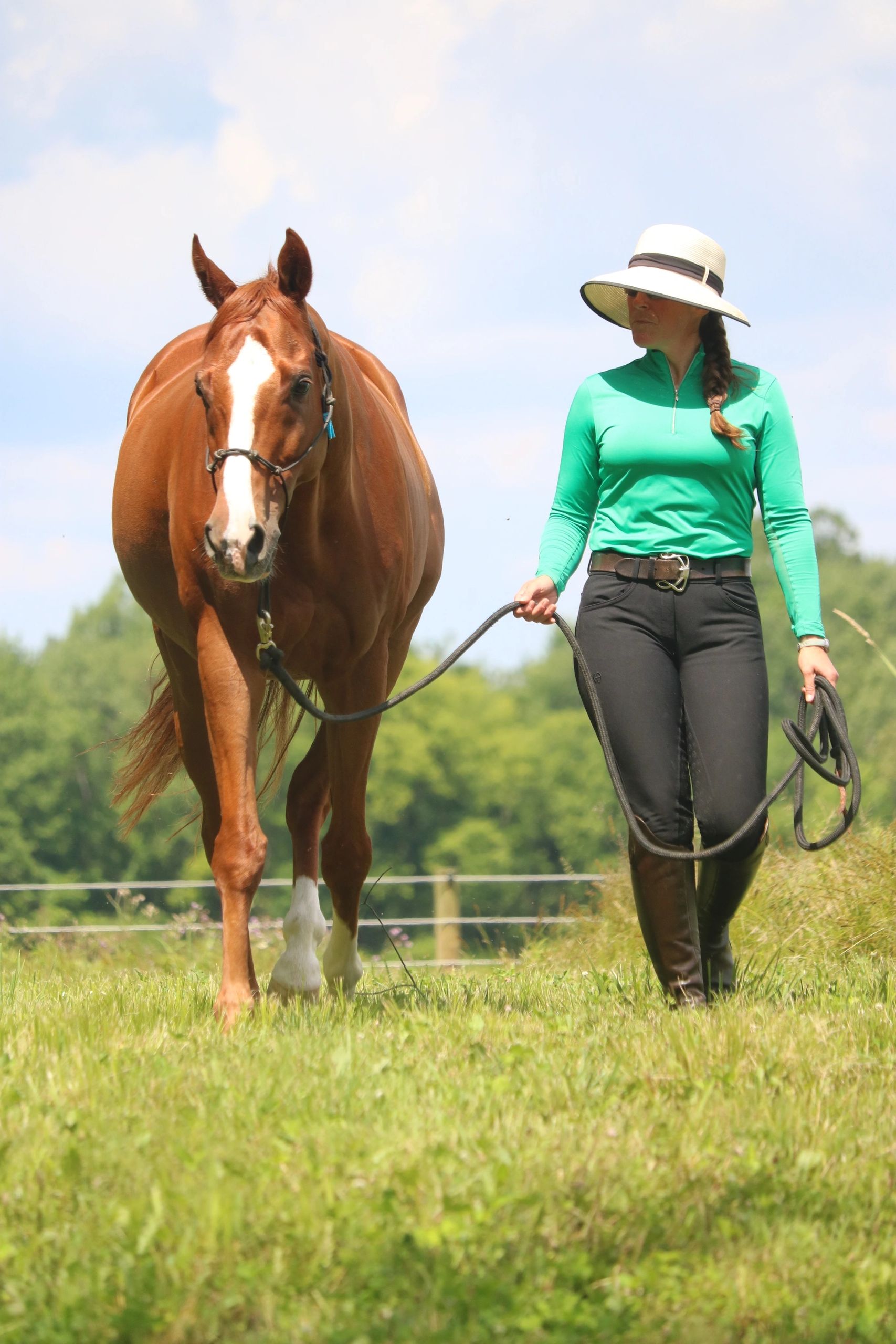Kate Coleman Equestrian