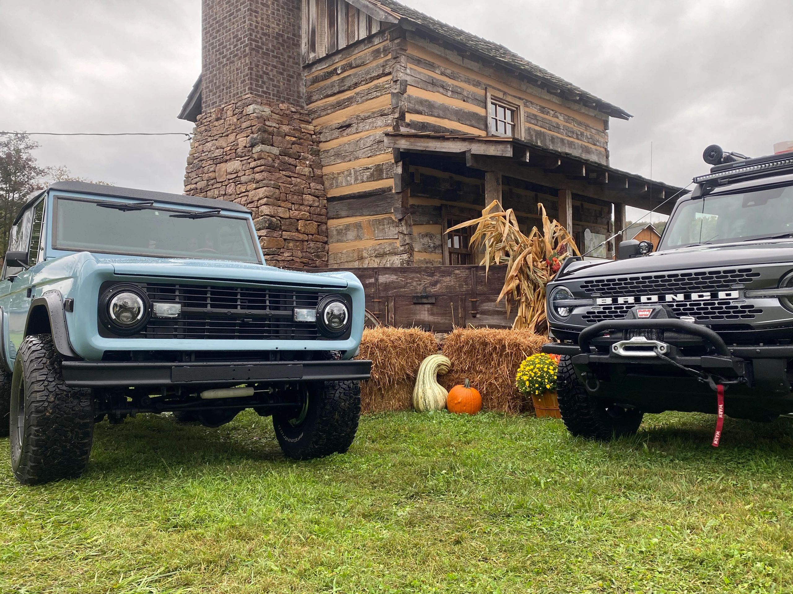 Ford Bronco - Georgia Broncos