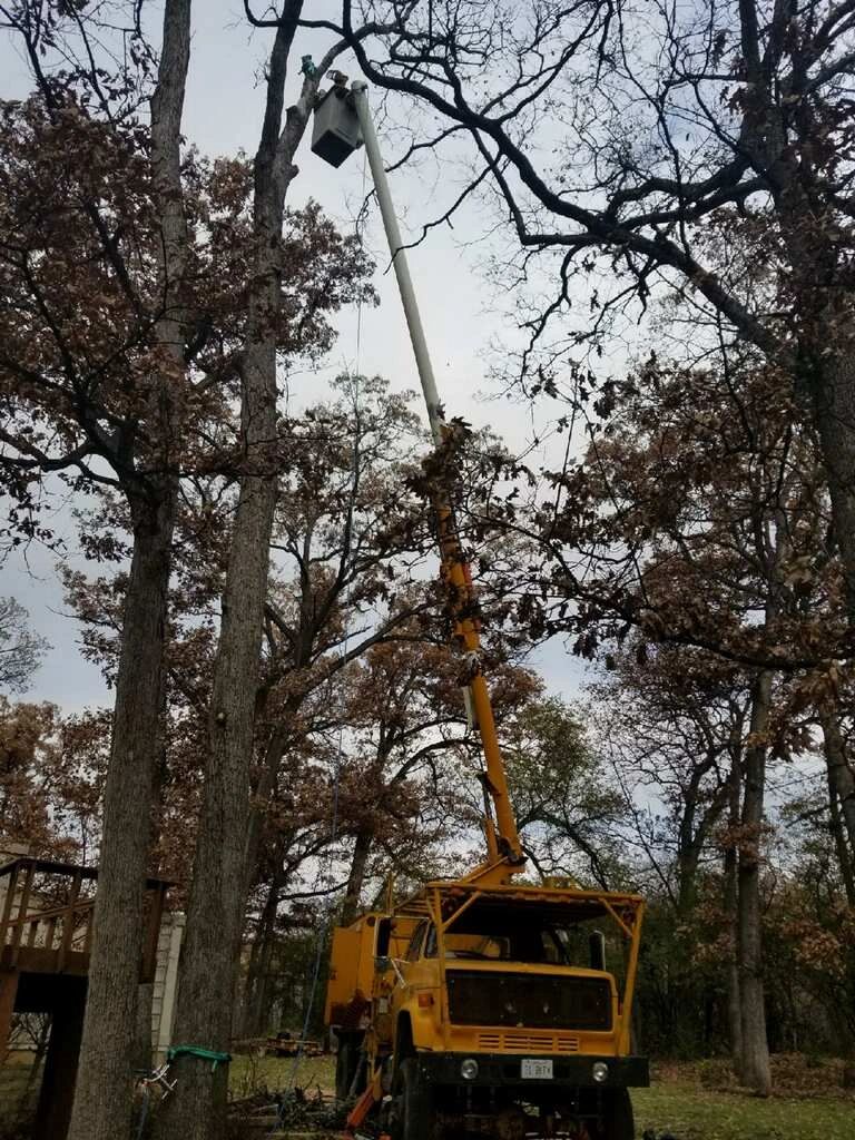 RC Tree Service in Elburn, Illinois