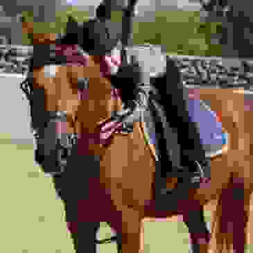 Apex Riding Academy - Horse Riding Lessons, Horseback Riding