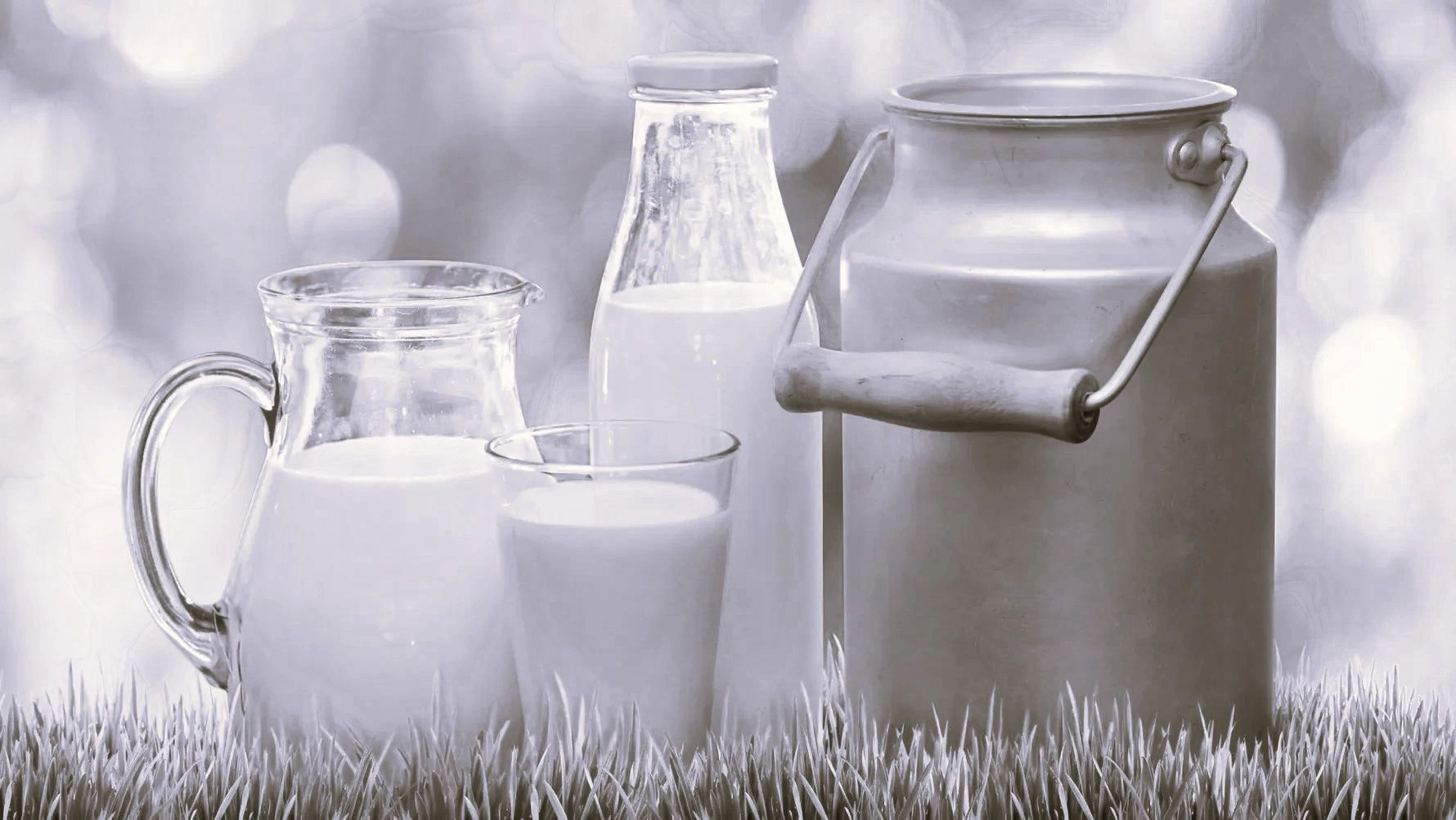 Fresh Dairy Products - Pick-up or Delivered to Your Doorstep