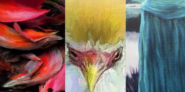 Kate Kennedy Artist - Art, Art, Artist, Oil Paintings