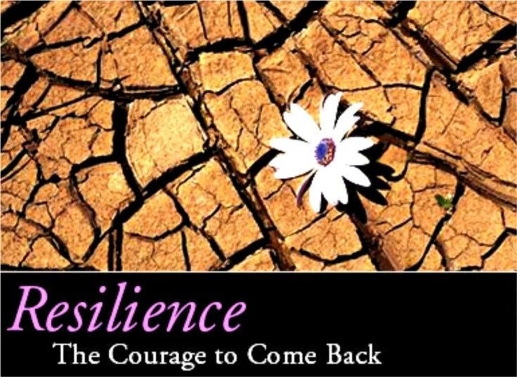 The Seven C's of Resilience