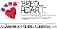 Daaley Kennels - Labradors, German Shorthair