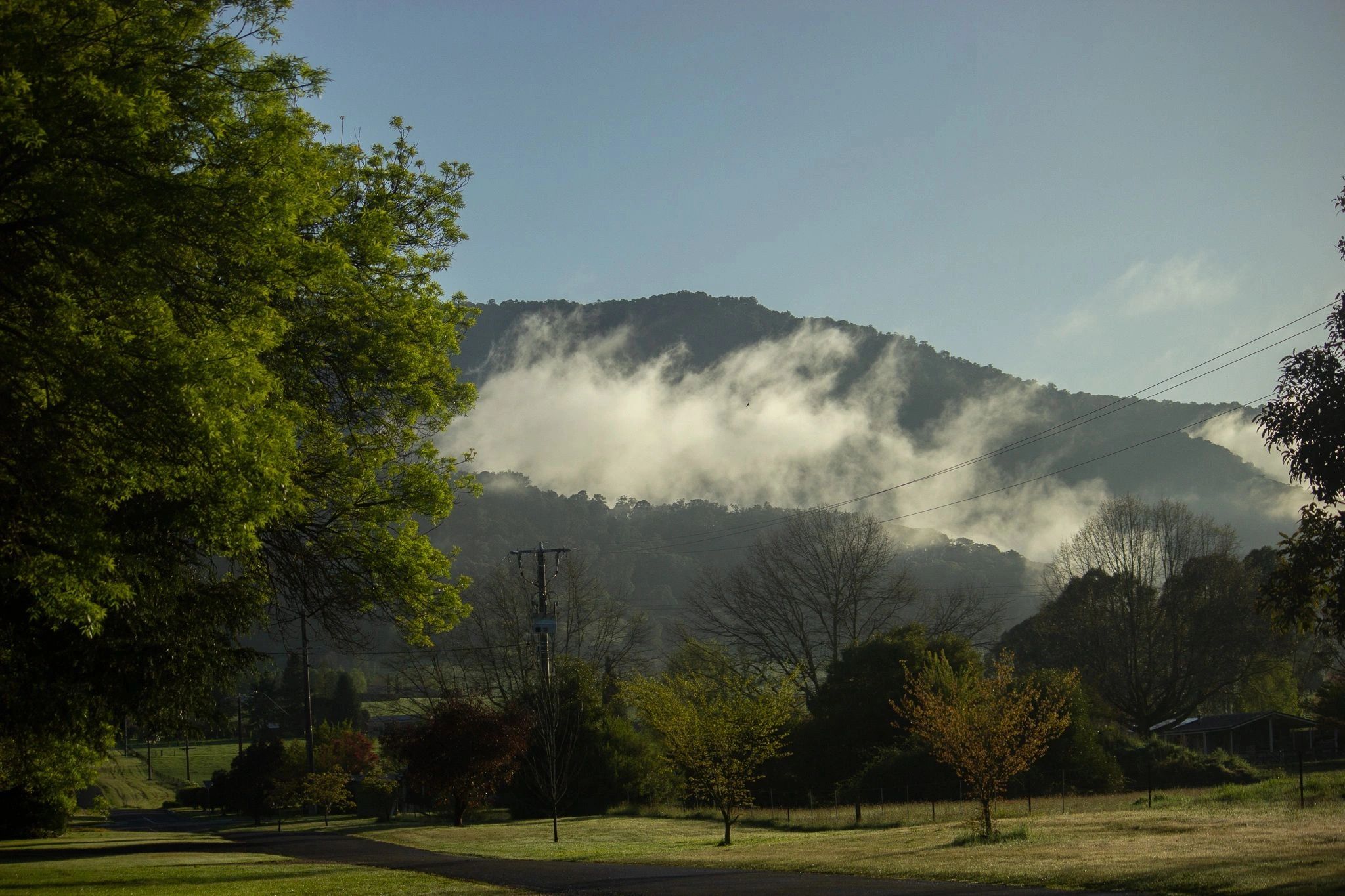 Behind the Ride Photography