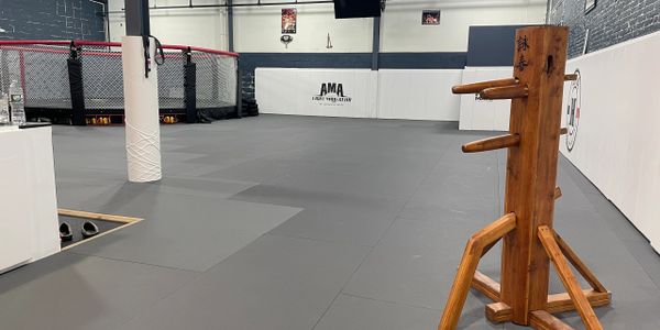 Wing Chun by Sifu Chow